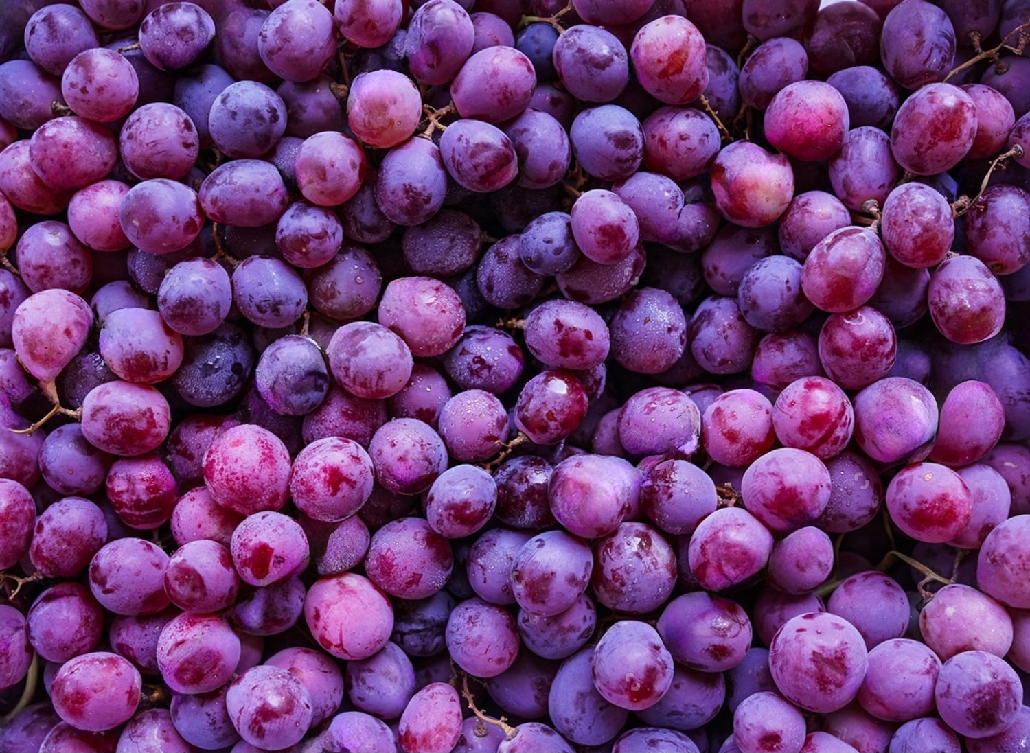 Table Grapes | Freshmax