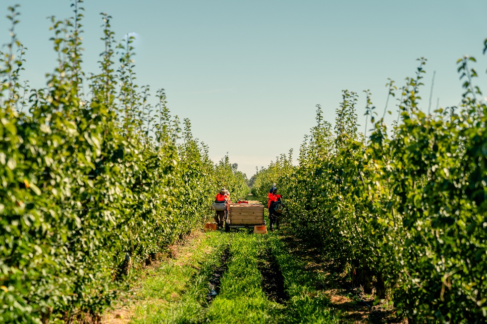 Empowering Sustainable Growth | Freshmax