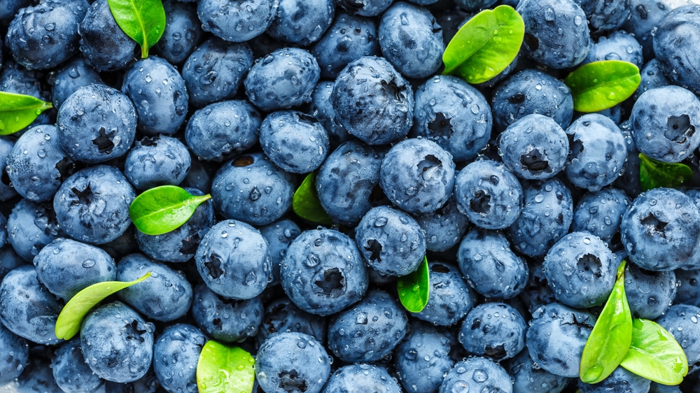 Berryfruit | Freshmax